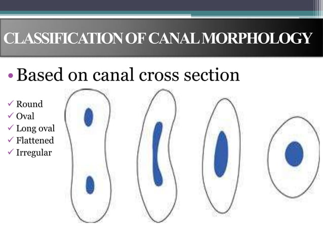 Anatomy of pulp canal and its access opening | PPT