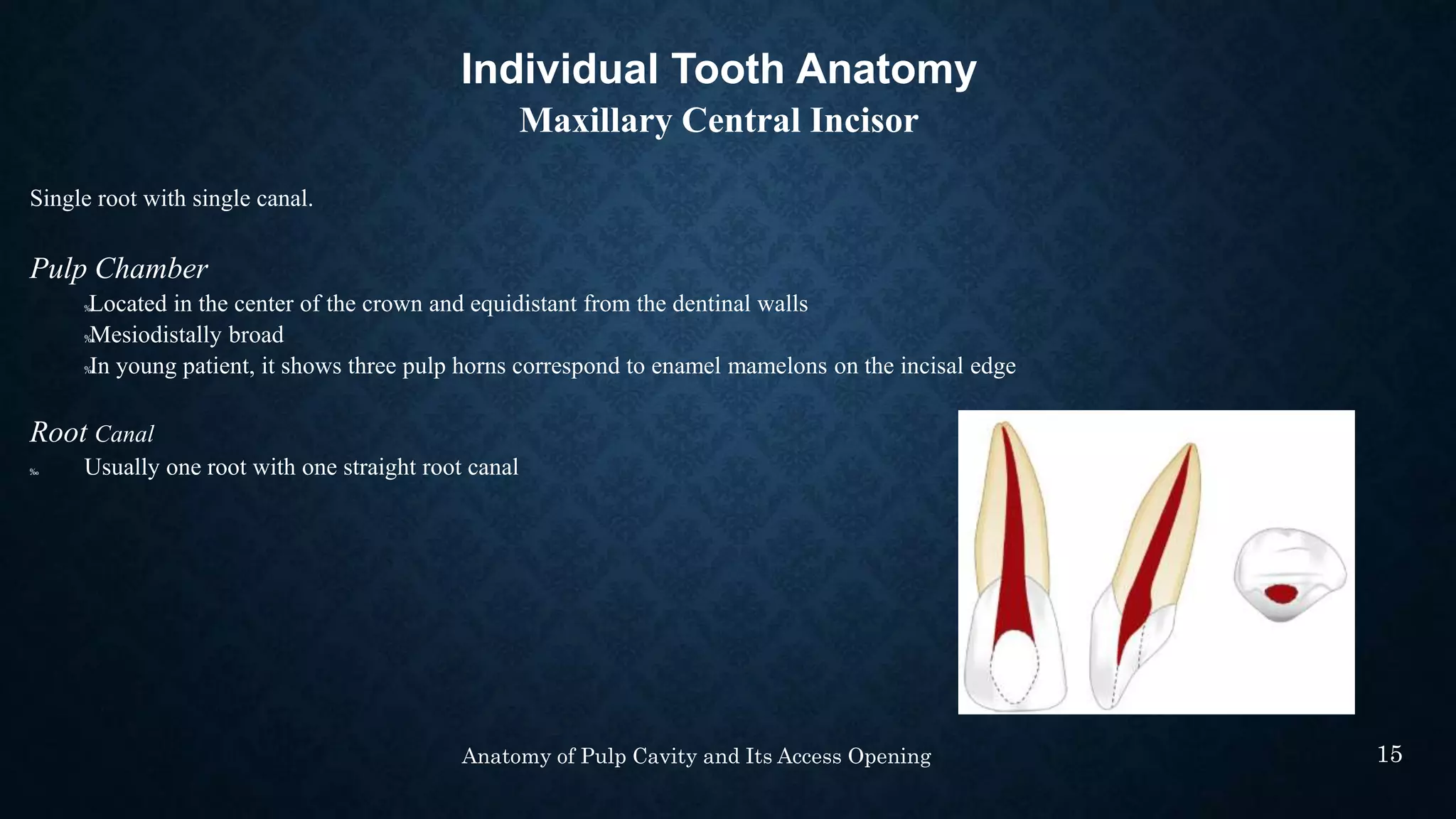 anatomy of pulp cavity and access opening.pptx