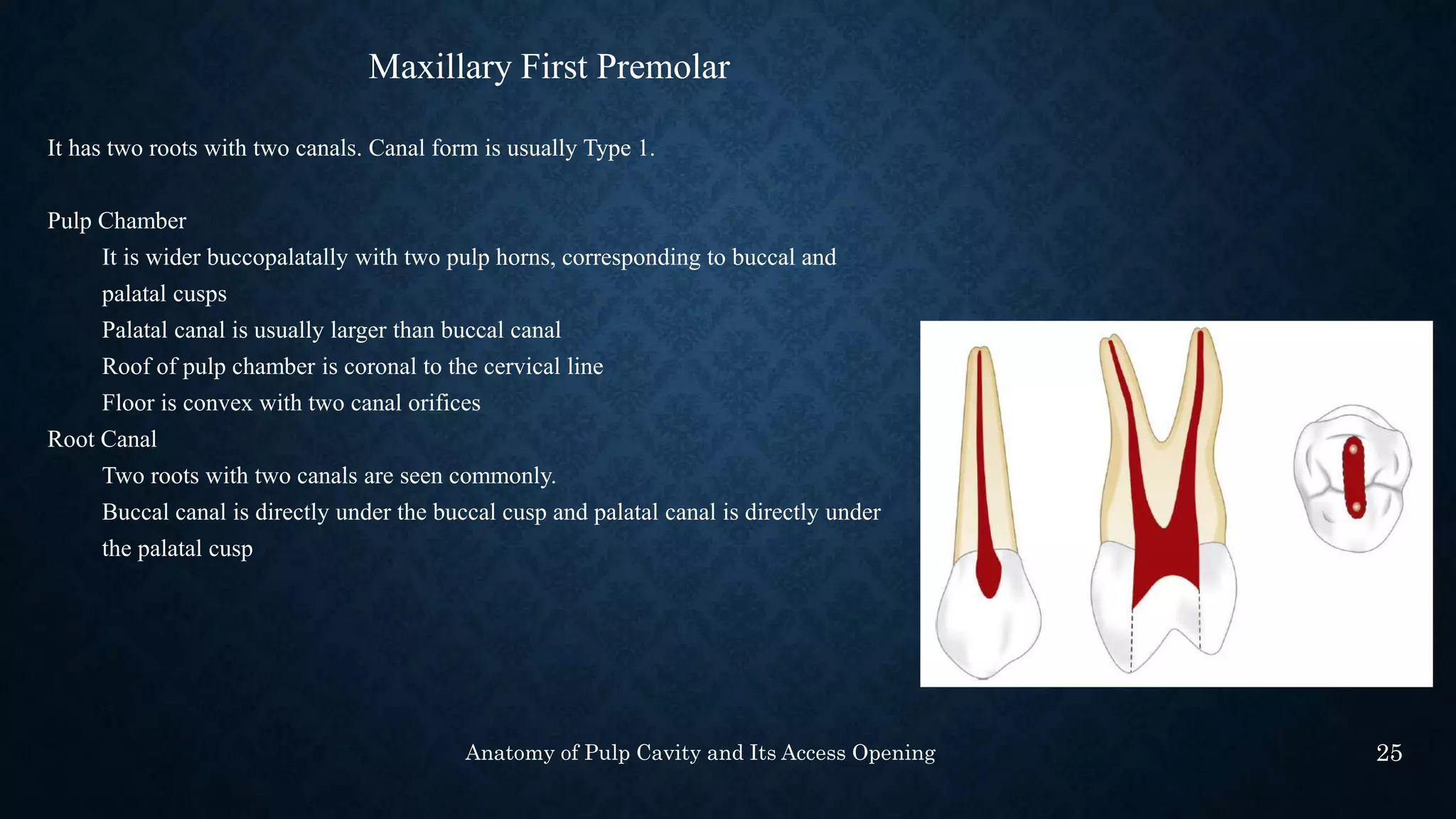 anatomy of pulp cavity and access opening.pptx