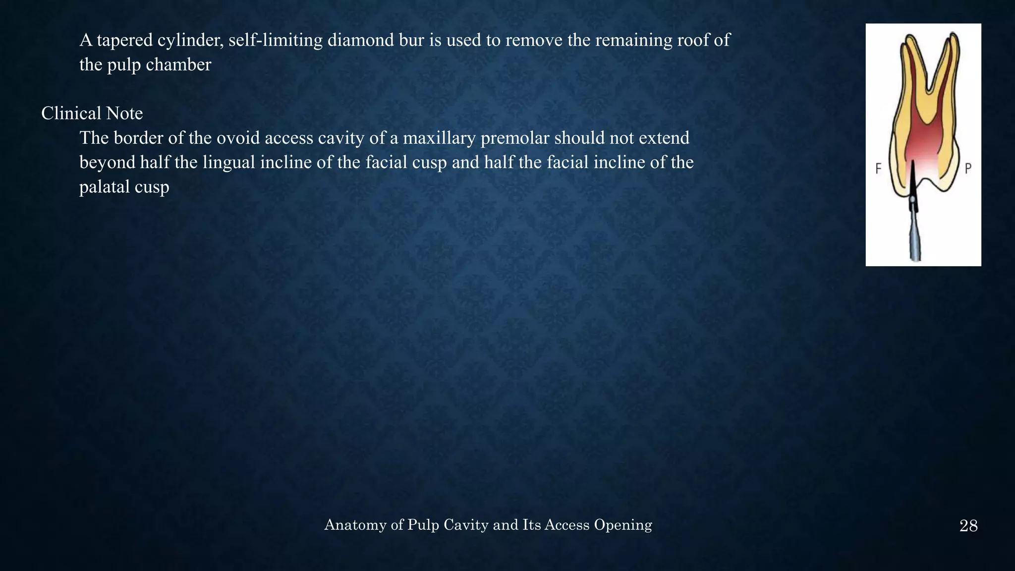 anatomy of pulp cavity and access opening.pptx