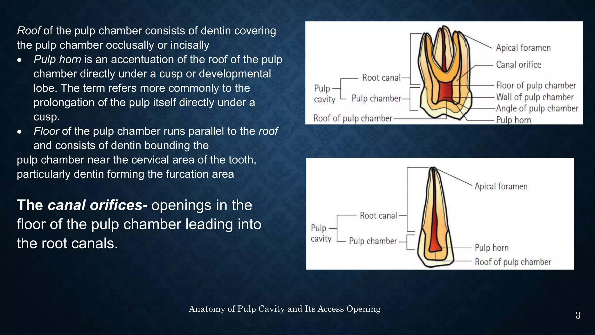anatomy of pulp cavity and access opening.pptx