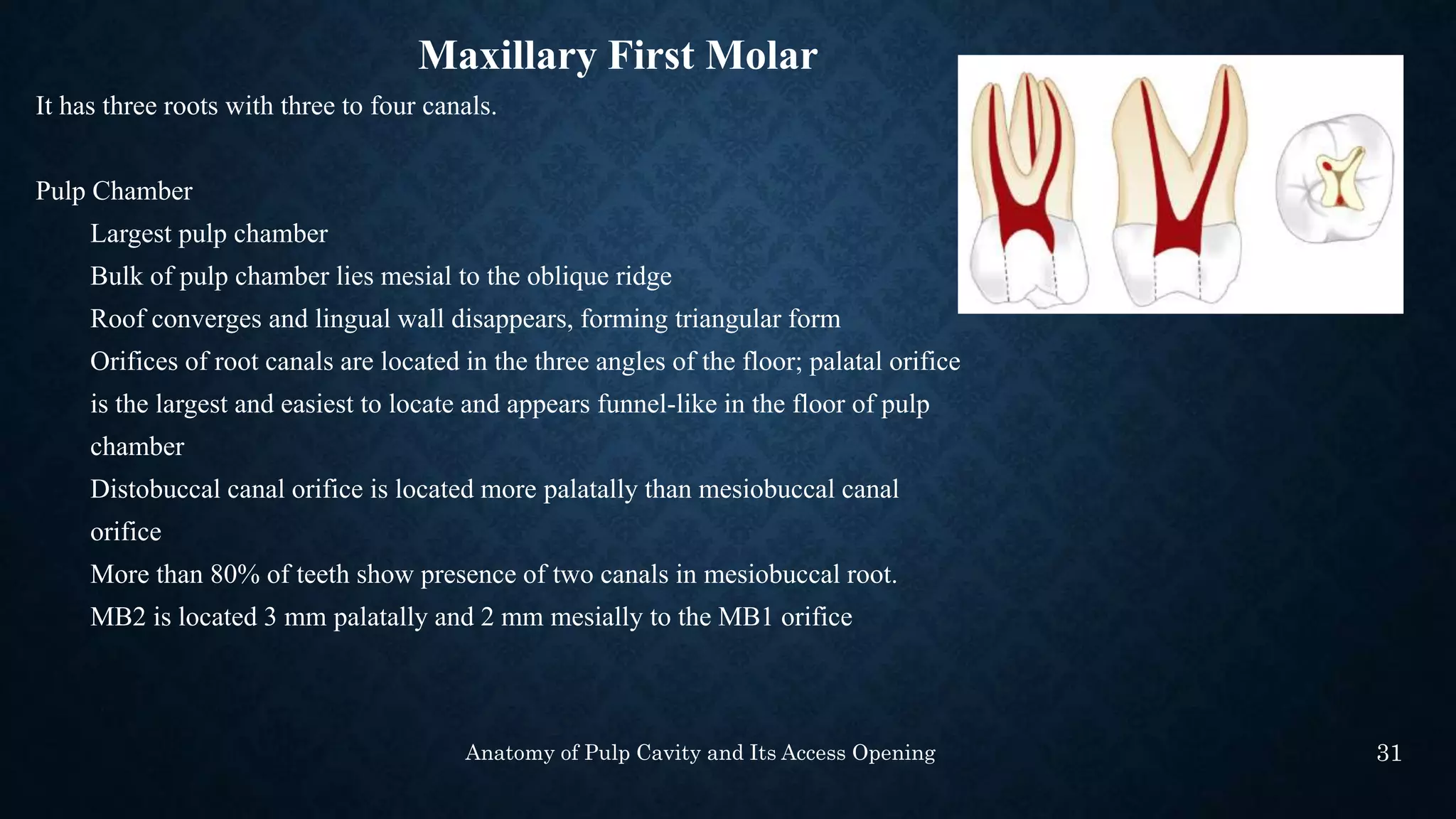 anatomy of pulp cavity and access opening.pptx
