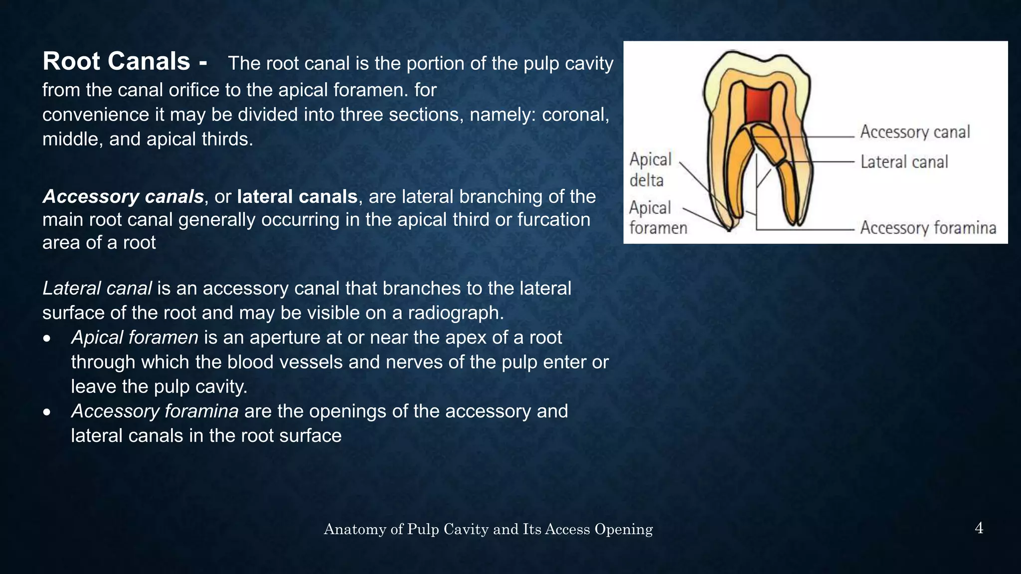 anatomy of pulp cavity and access opening.pptx