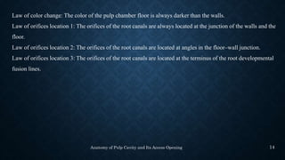 anatomy of pulp cavity and access opening.pptx