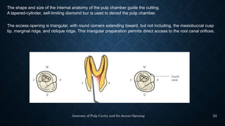 anatomy of pulp cavity and access opening.pptx