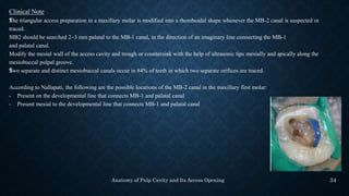 anatomy of pulp cavity and access opening.pptx