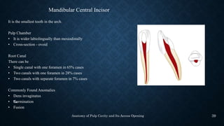anatomy of pulp cavity and access opening.pptx