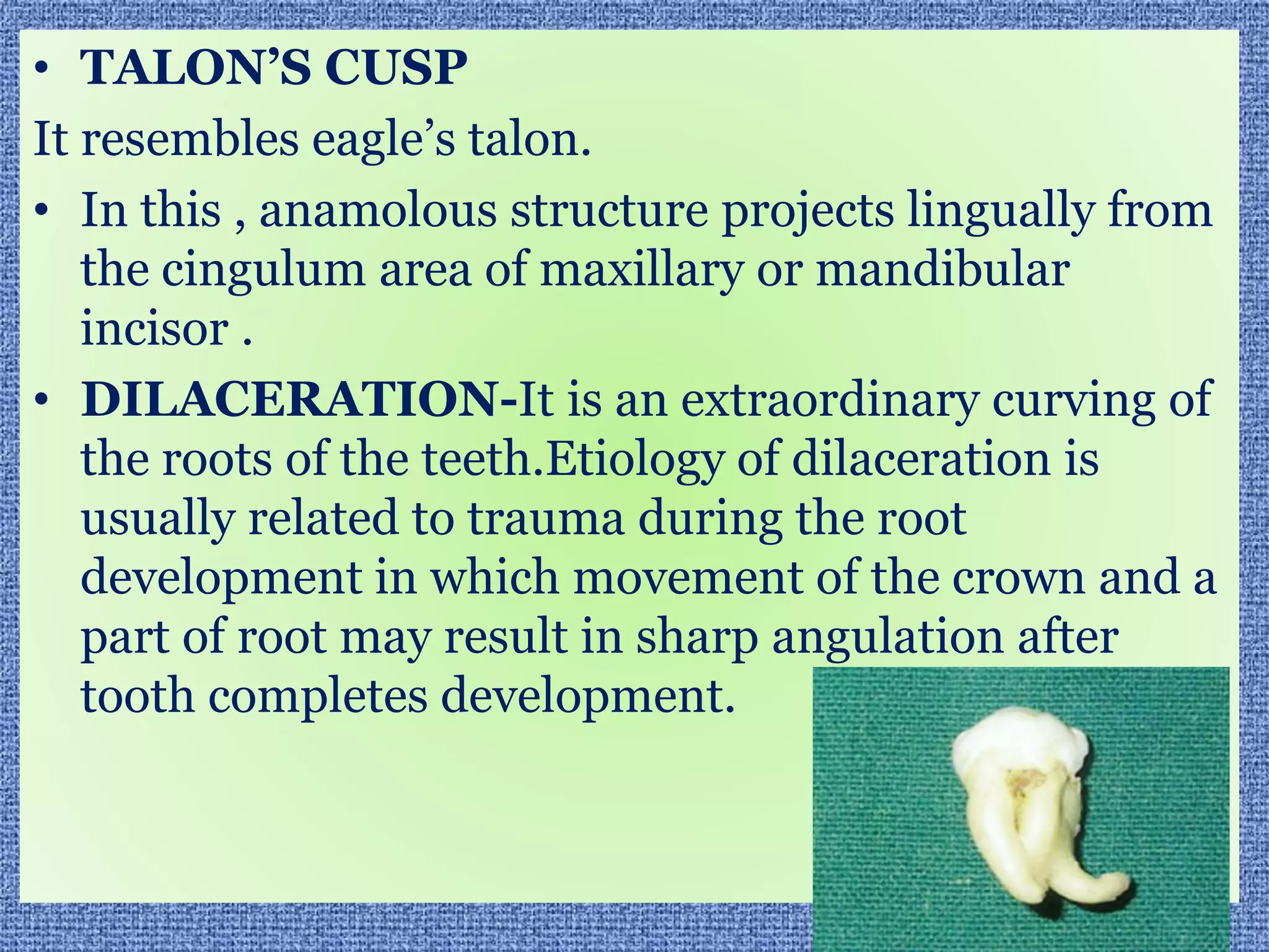 Anatomy of pulp cavity of maxillary teeth (2) | PPTX