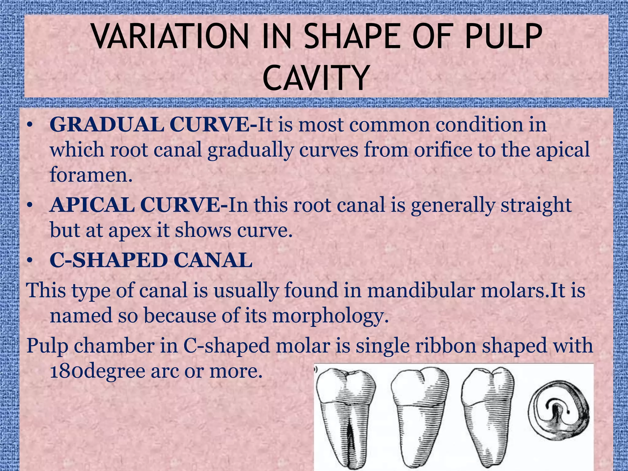 Anatomy of pulp cavity of maxillary teeth (2) | PPTX