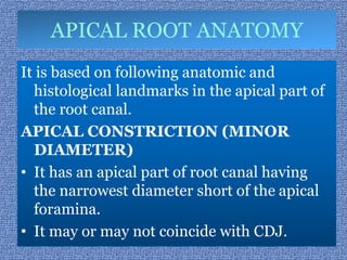 Anatomy of pulp cavity of maxillary teeth (2) | PPTX