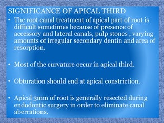 Anatomy of pulp cavity of maxillary teeth (2) | PPTX