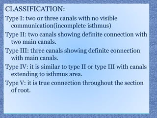 Anatomy of pulp cavity of maxillary teeth (2) | PPTX