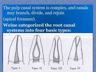 Anatomy of pulp cavity of maxillary teeth (2) | PPTX