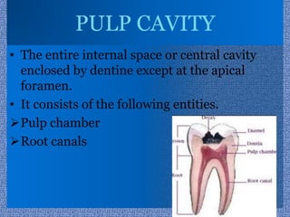 Pulp Cavity