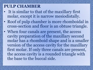 Anatomy of pulp cavity of maxillary teeth (2) | PPTX