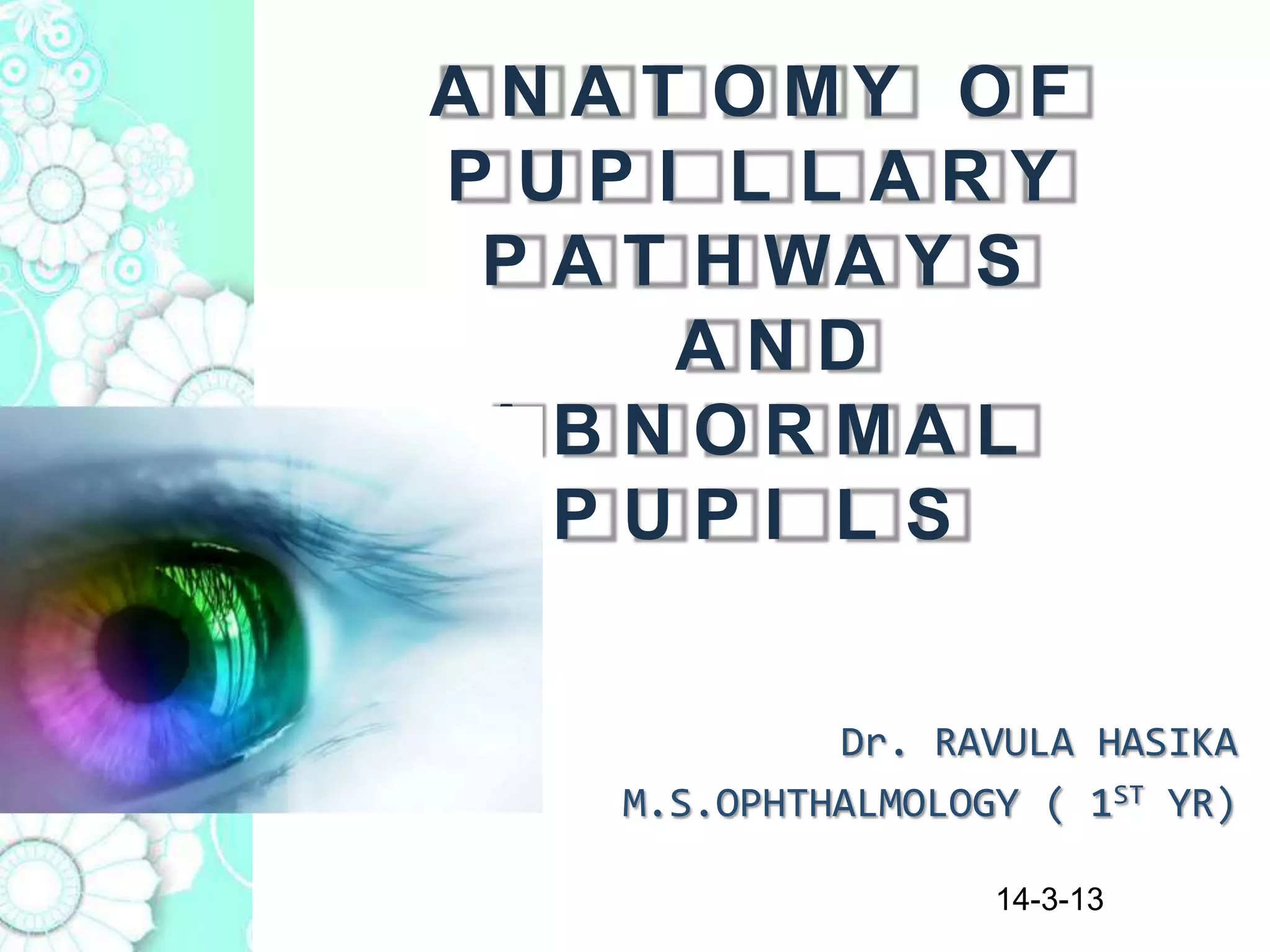 Anatomy of pupillary pathways | PPTX
