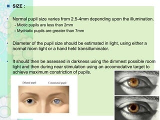 Anatomy of pupillary pathways | PPTX