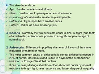 Anatomy of pupillary pathways | PPTX
