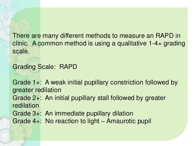 Anatomy of pupillary pathways