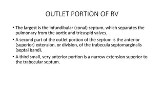 Anatomy of RAtria and RV - Dr.Kantam.pptx