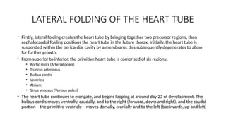 Anatomy of RAtria and RV - Dr.Kantam.pptx