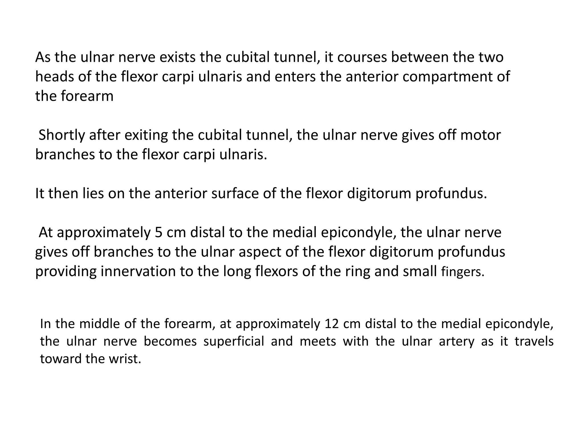 Anatomy of radial,median &ulnar nerve | PPTX