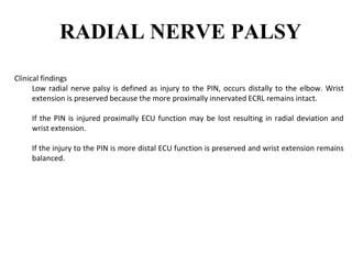 Anatomy of radial nerve and wrist drop | PPTX