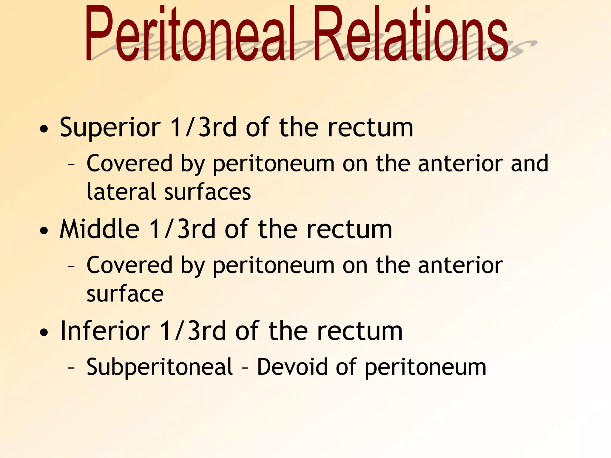 Anatomy of Rectum | PPSX