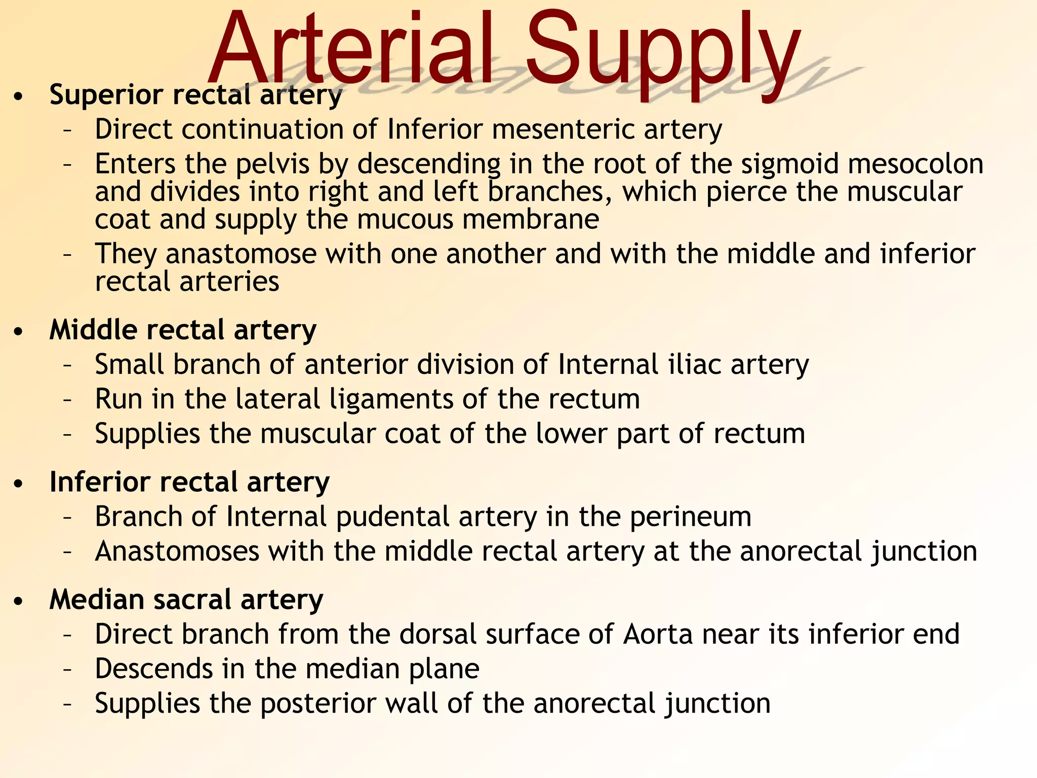 Anatomy of Rectum | PPSX