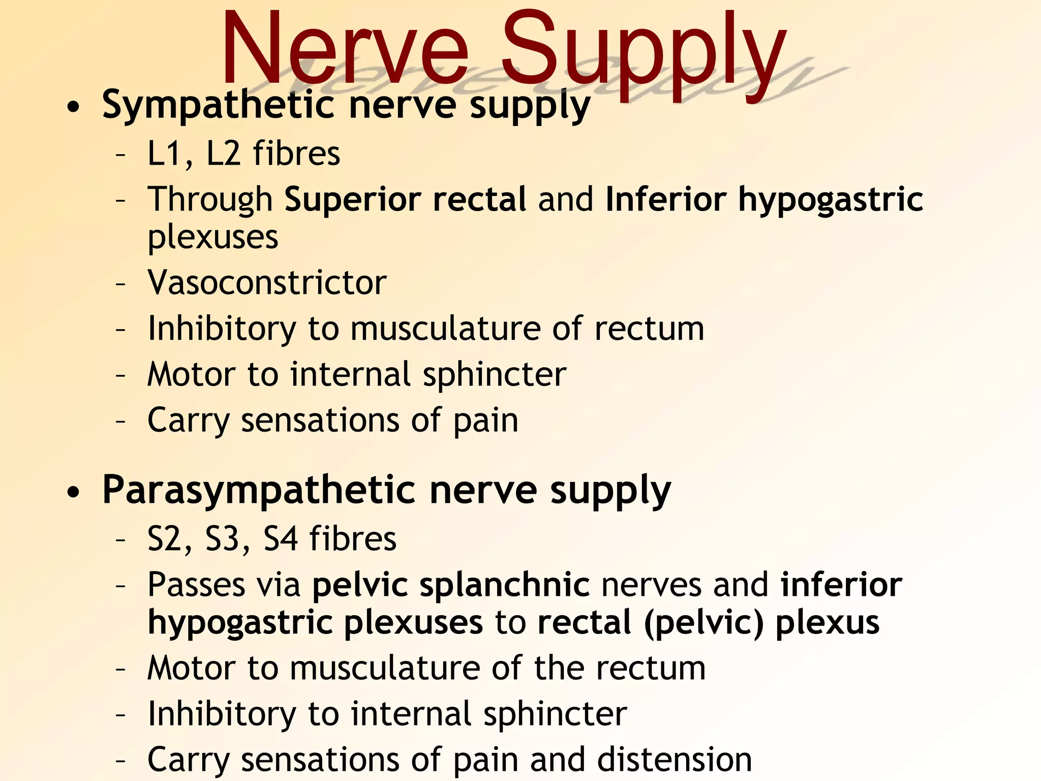 Anatomy of Rectum | PPSX