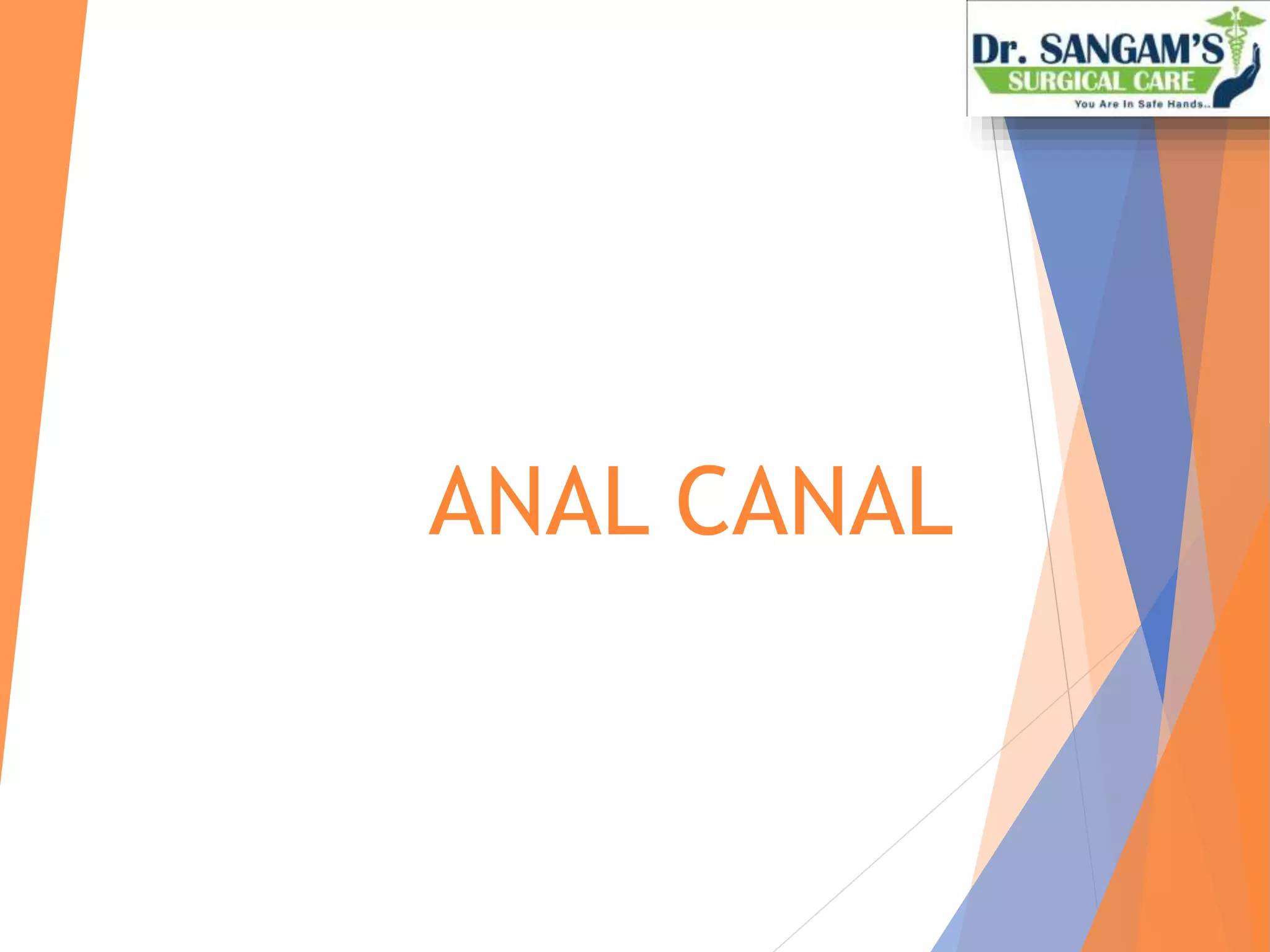 Anatomy of rectum and anal canal | PPTX