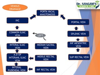 Anatomy of rectum and anal canal | PPTX