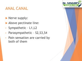 Anatomy of rectum and anal canal | PPTX