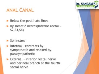 Anatomy of rectum and anal canal | PPTX