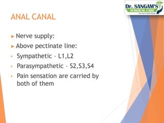 anatomy of rectum and analcanal pptx.pptx