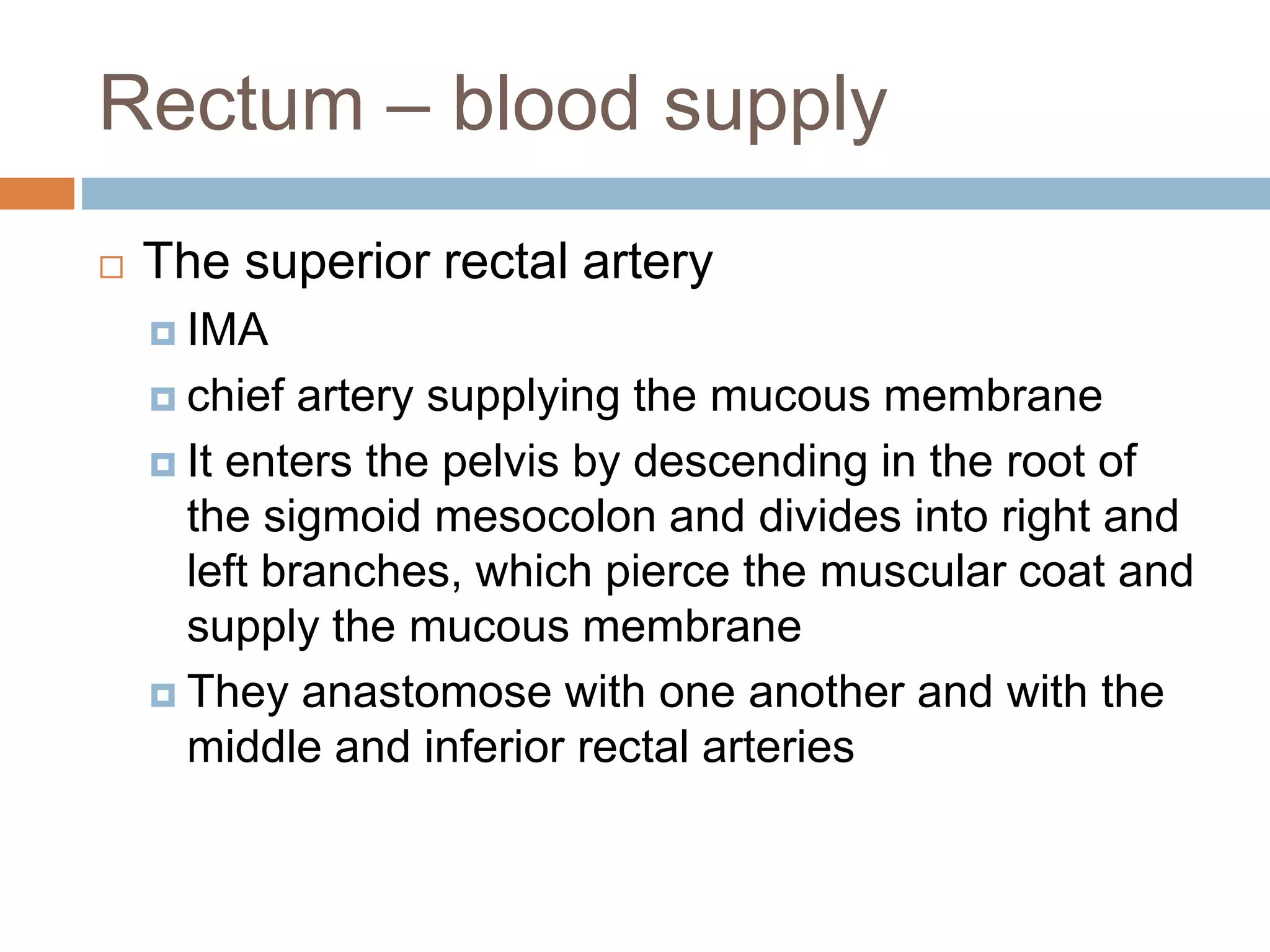 Anatomy of Rectum and Anus - Dr Peter Andre Soltau | PPTX