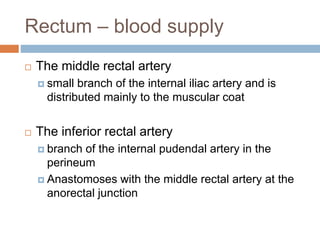 Anatomy of Rectum and Anus - Dr Peter Andre Soltau | PPTX