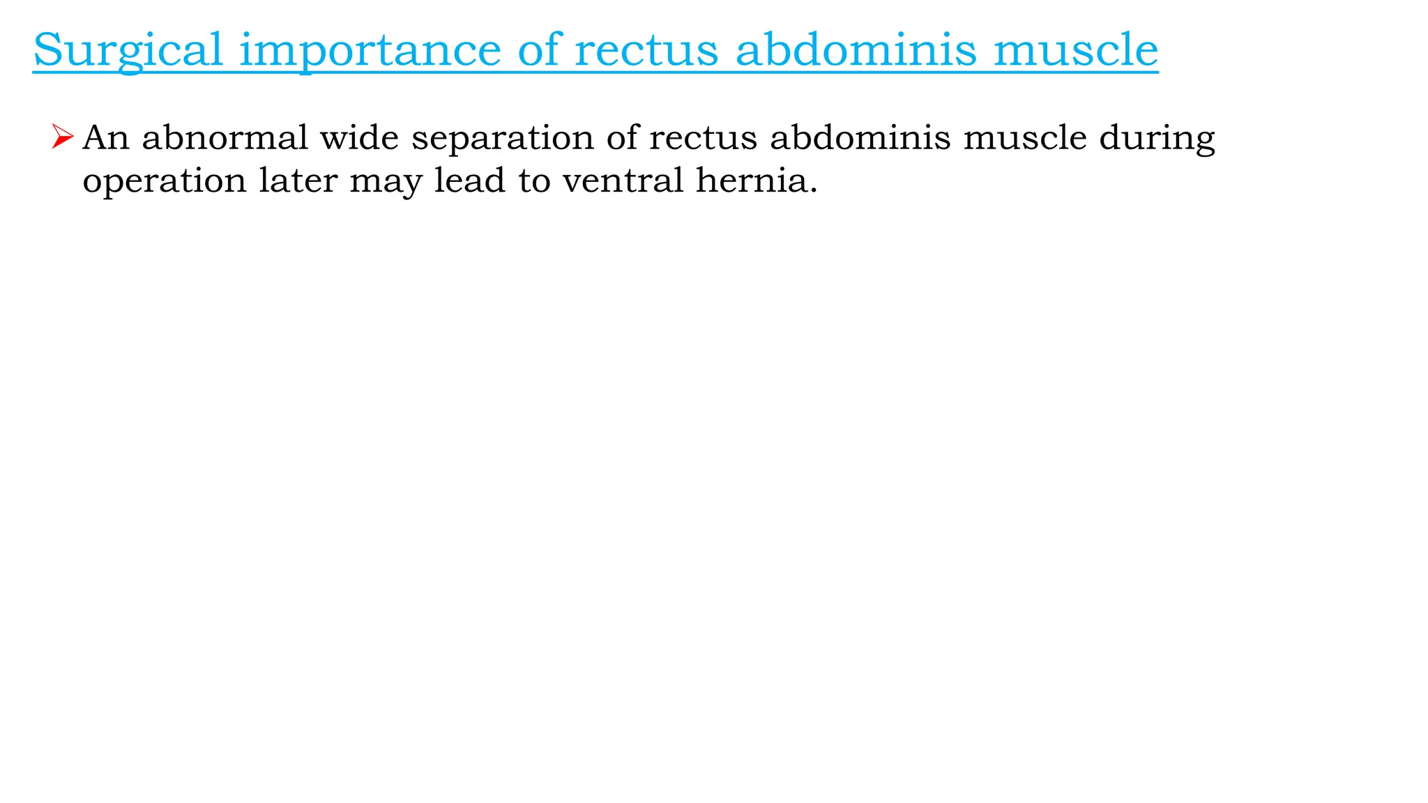 ANATOMY OF RECTUS in OBST AND GYNAE.pptx