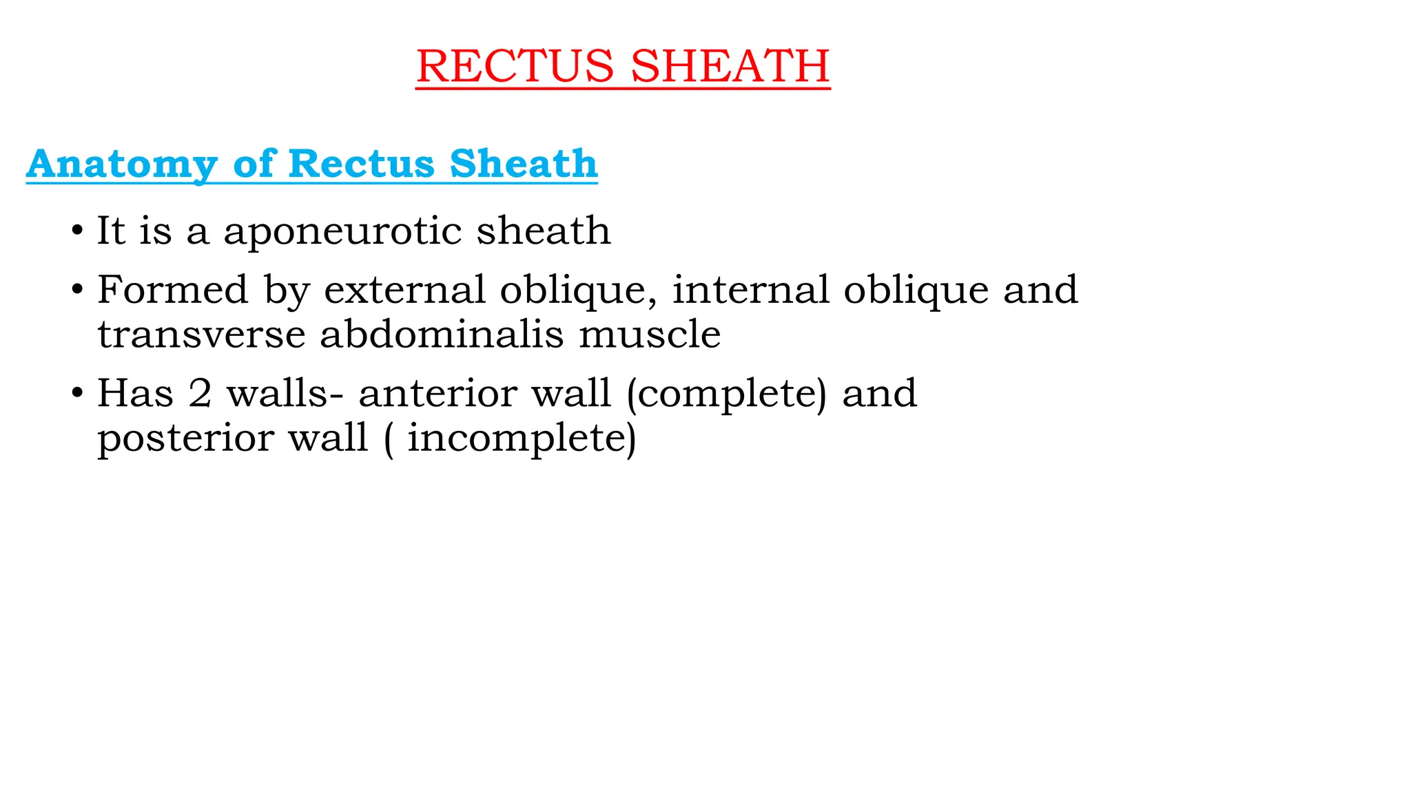 ANATOMY OF RECTUS in OBST AND GYNAE.pptx