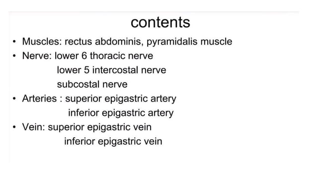 ANATOMY OF RECTUS in OBST AND GYNAE.pptx