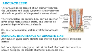ANATOMY OF RECTUS in OBST AND GYNAE.pptx