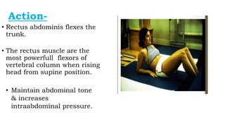 ANATOMY OF RECTUS in OBST AND GYNAE.pptx