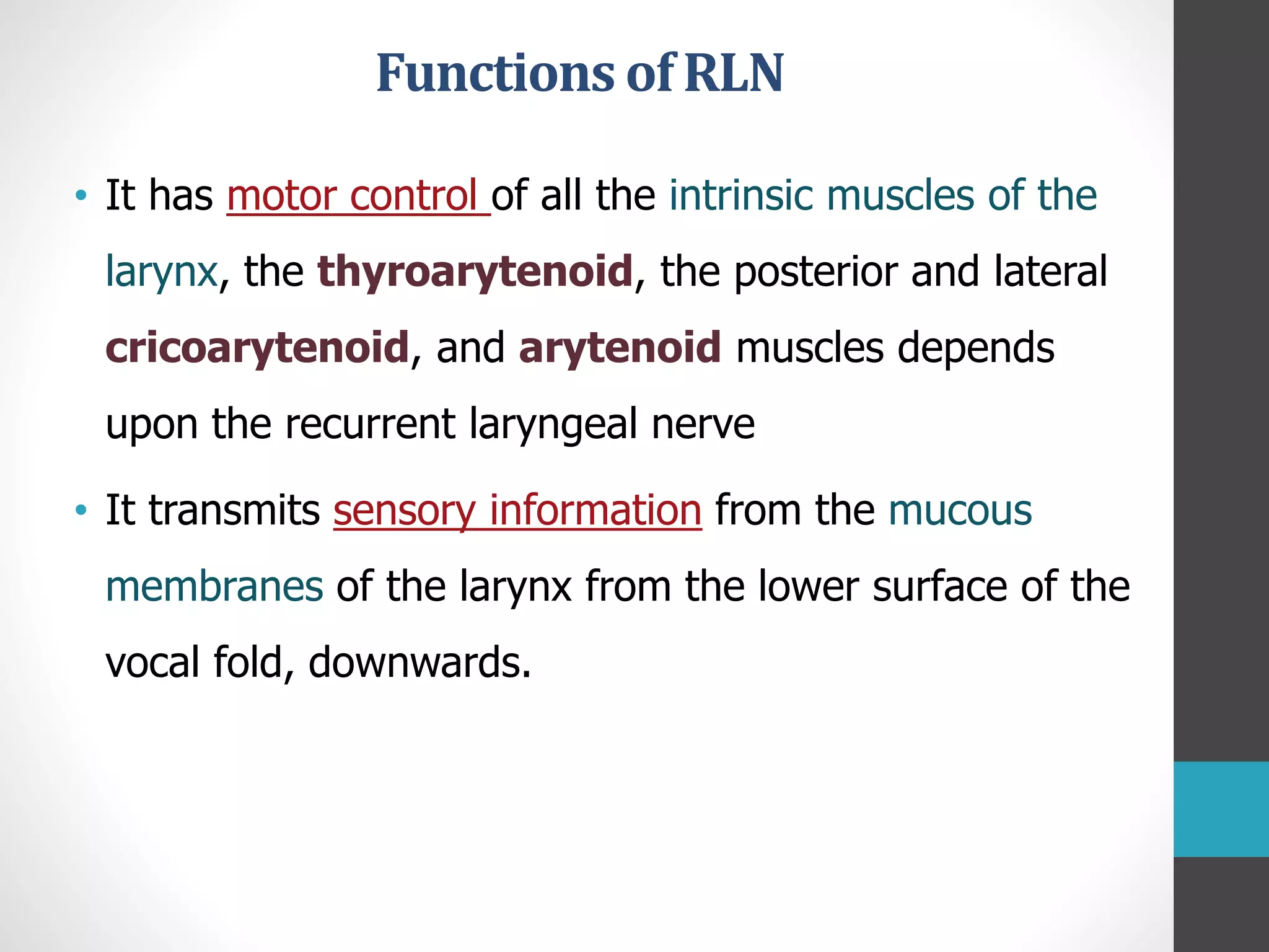 Anatomy of recurrent laryngeal nerveAnatomy of recurrent laryngeal ...