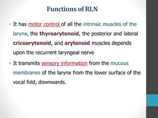 Anatomy of recurrent laryngeal nerveAnatomy of recurrent laryngeal ...