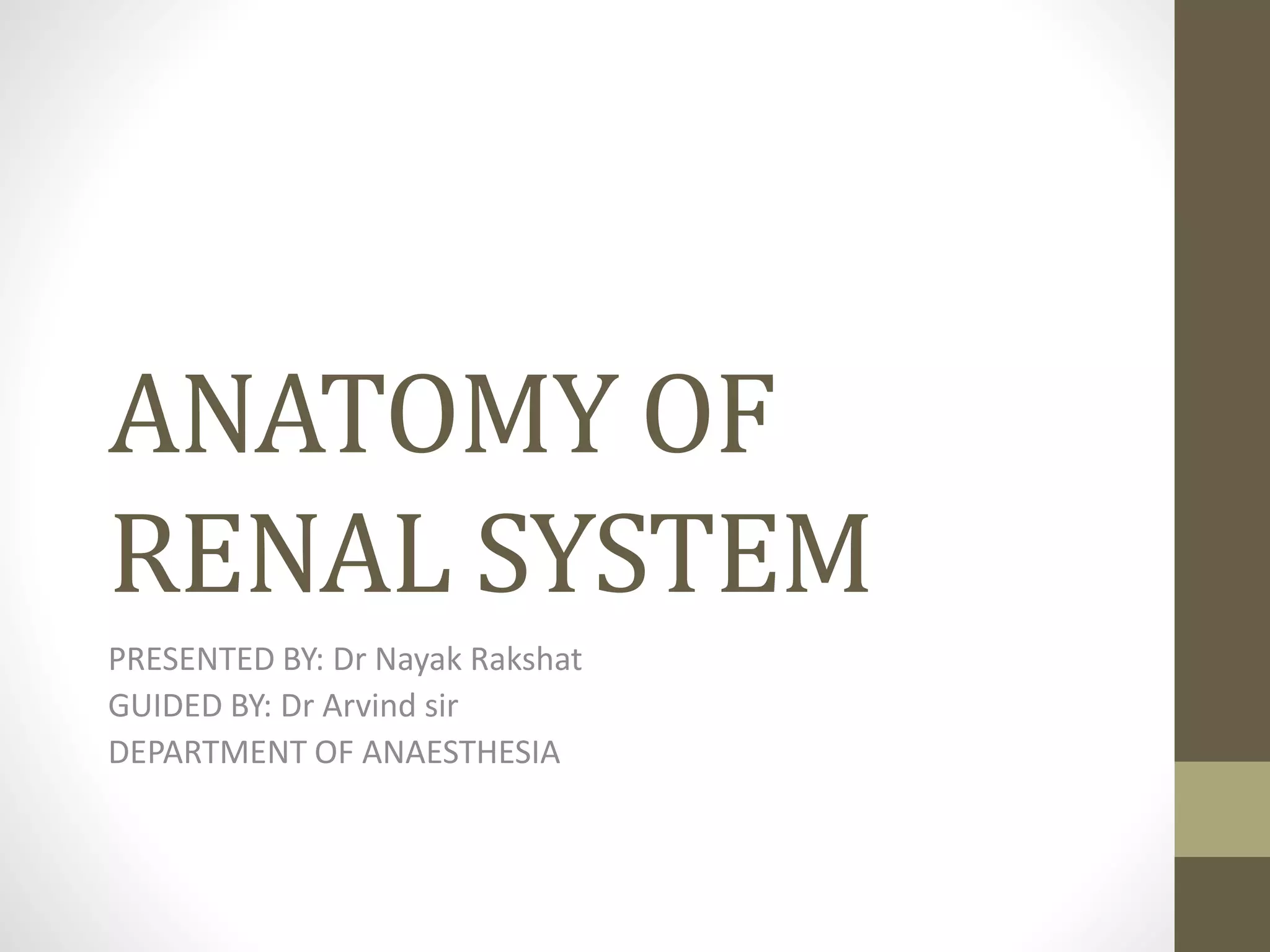 ANATOMY OF RENAL SYSTEM.pptx