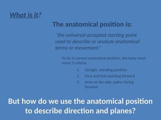 Comprehensive Guide to Anatomical Position, Planes, and Body ...
