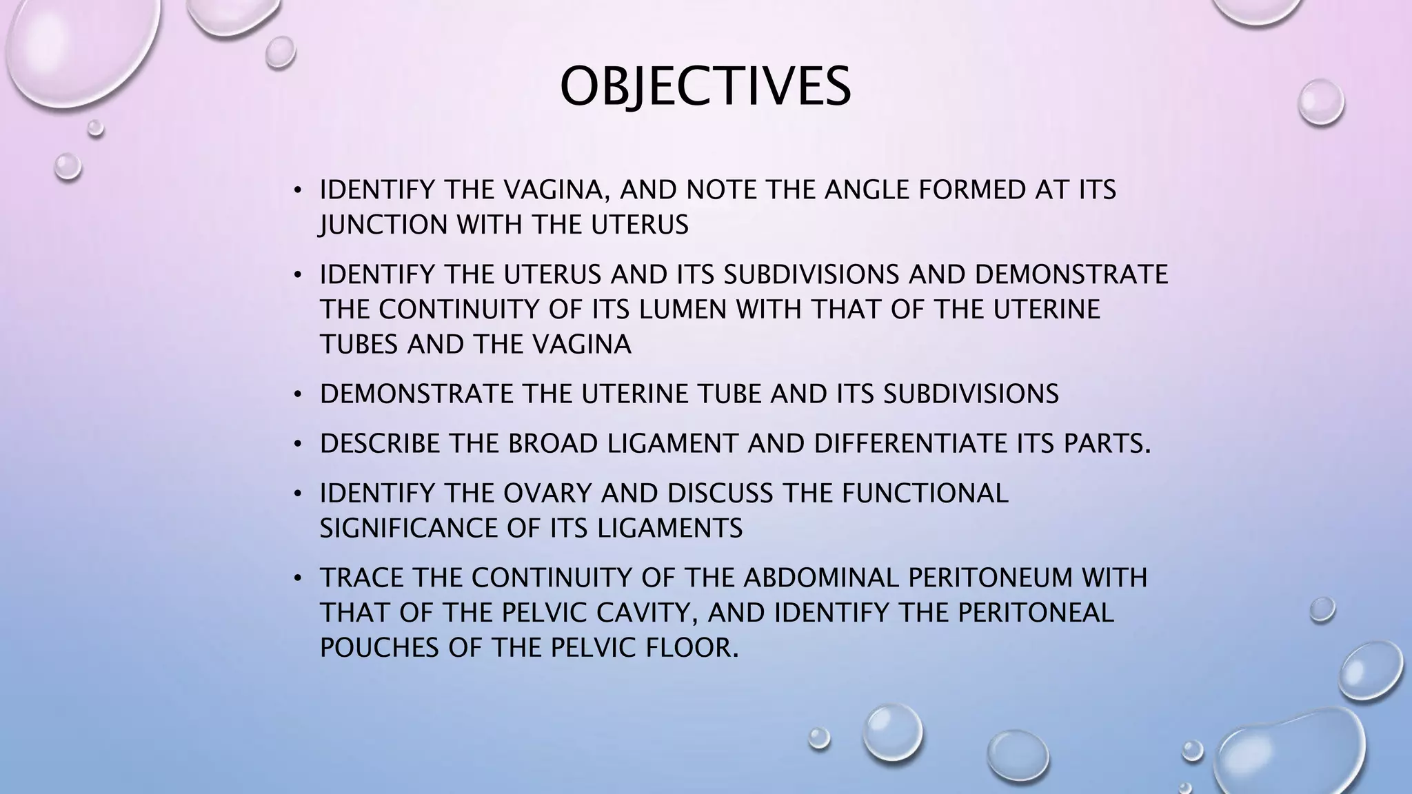 Anatomy of reproductive system | PPTX