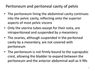 Anatomy of reproductive system (2).pdf anat | PDF