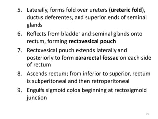 Anatomy of reproductive system (2).pdf anat | PDF