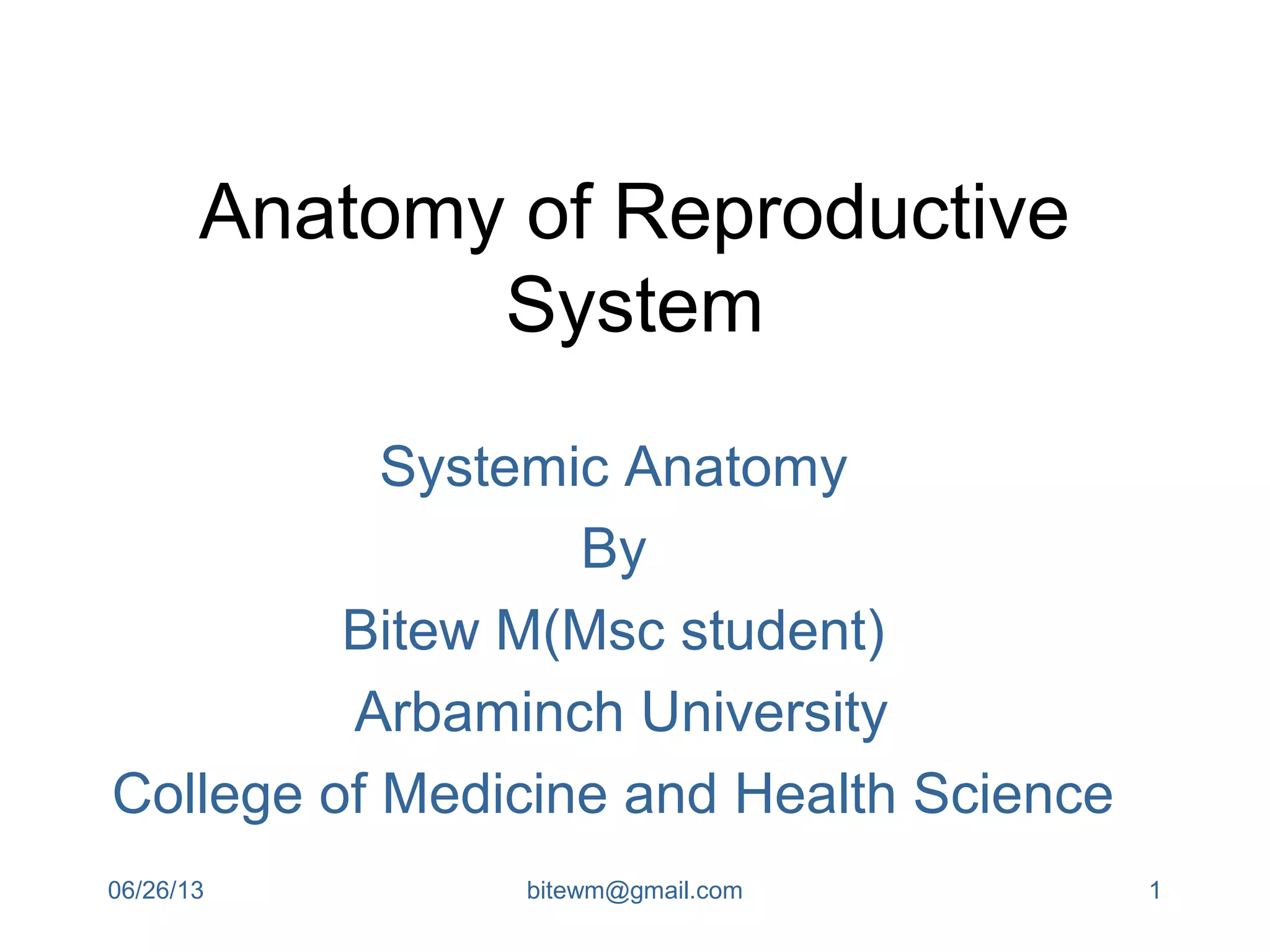 Anatomy of Reproductive system by Bitew | PPT